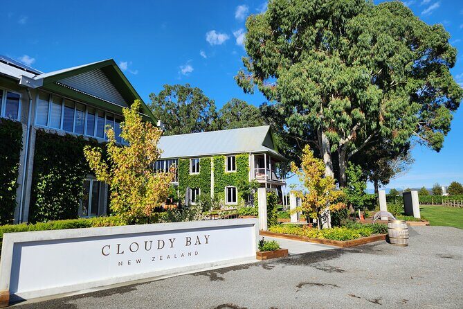 Marlborough Private Classic Wine Tour - Key Points