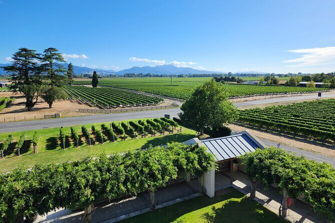 Marlborough Private Classic Wine Tour - An In-Depth Look at the Marlborough Private Classic Wine Tour