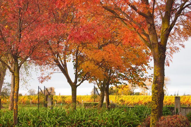 Marlborough Private Classic Wine Tour - Final Thoughts