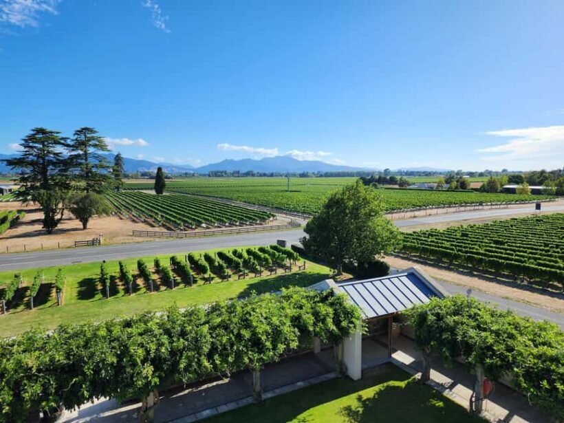 Marlborough Private Classic Wine Tour - The Winery Visits: What to Expect