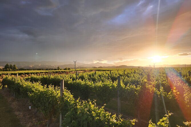 Marlborough Private Organic Wine Tour - Final Thoughts: Is It Worth It?