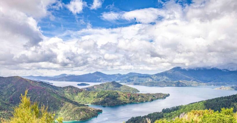 Marlborough Sounds and Ship Cove Cruise from Picton - Key Points