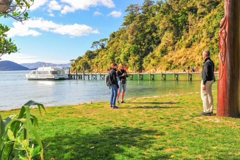 Marlborough Sounds and Ship Cove Cruise from Picton - Who Should Definitely Consider This Tour?