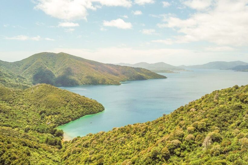 Marlborough Sounds and Ship Cove Cruise from Picton - The Sum Up