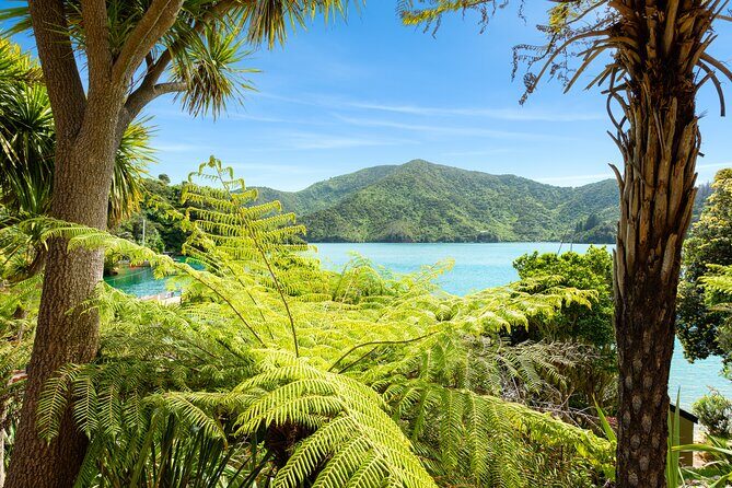Marlborough Sounds Day Visit to Lochmara - The Sum Up: Who Will Love This Experience?