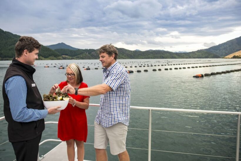 Marlborough Sounds: Greenshell Mussel Cruise - FAQ