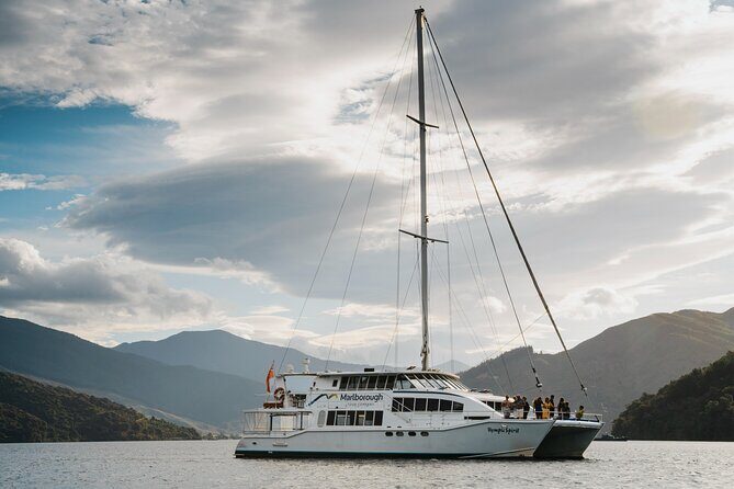 Marlborough Sounds Greenshell Mussel Tasting Cruise - The Sum Up