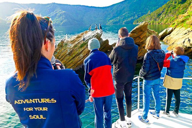 Marlborough Sounds Ultimate Cruise - Who Will Love the Marlborough Sounds Ultimate Cruise?