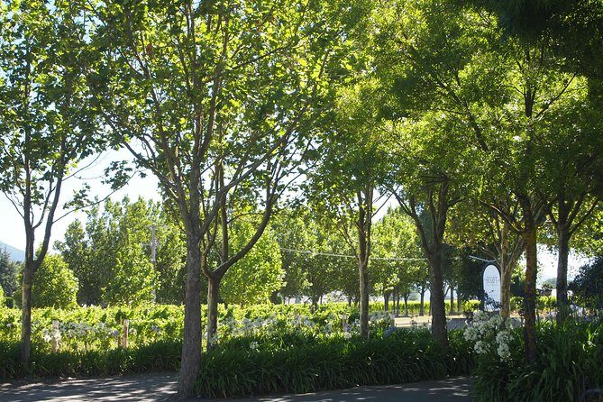 Marlborough Wine Region Tour from the Port of Picton - Makana Confections: A Sweet Introduction