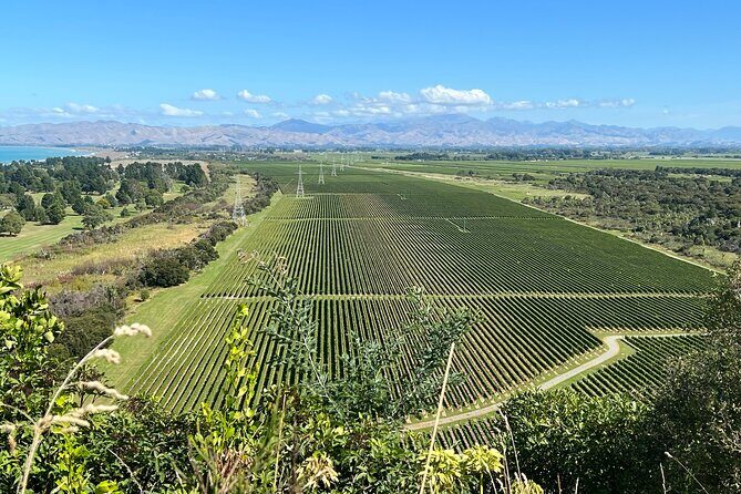 Marlborough Wine Region Tour from the Port of Picton - Nautilus Estate: Boutique Selections
