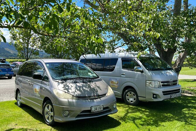 Marlborough Wine Region Tour from the Port of Picton - The Experience — Pros and Cons
