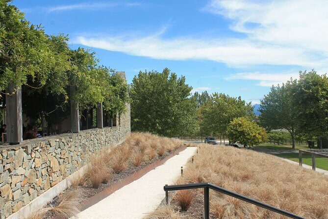 Marlborough Wine Tasting Tour. - Authentic Insights from Past Travelers