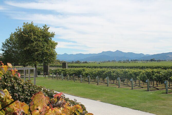 Marlborough Wine Tasting Tour. - The Value of This Tour