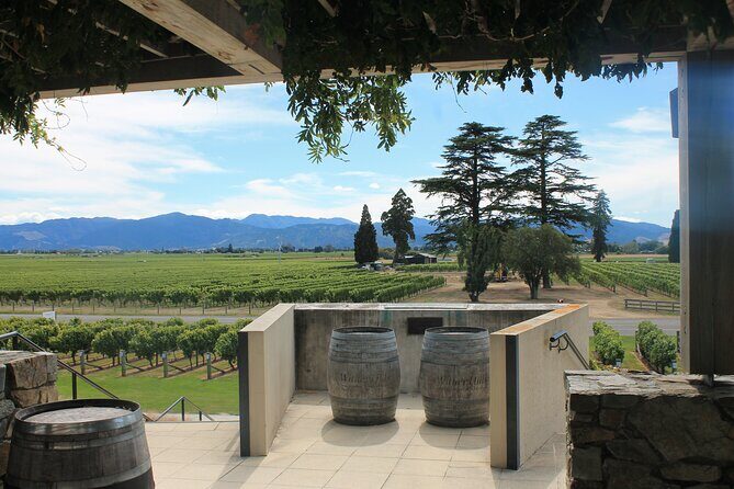 Marlborough Wine Tasting Tour. - The Sum Up