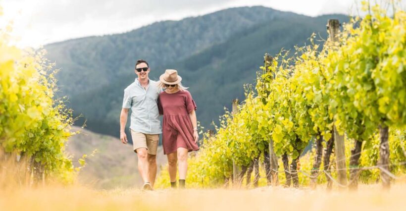 Marlborough: Wineries Visit and Tasting Session - What’s Included — and What’s Not
