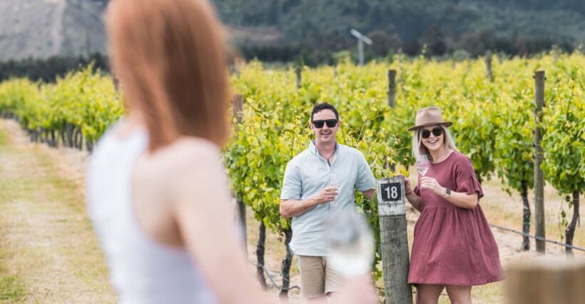 Marlborough: Wineries Visit with Tastings and 2-Course Lunch - Key Points
