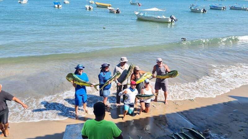 Marlin fishing in guayabitos - Key Points