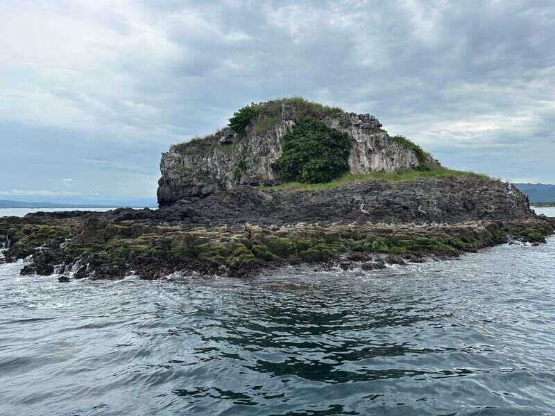 Marlin fishing in guayabitos - The Sum Up