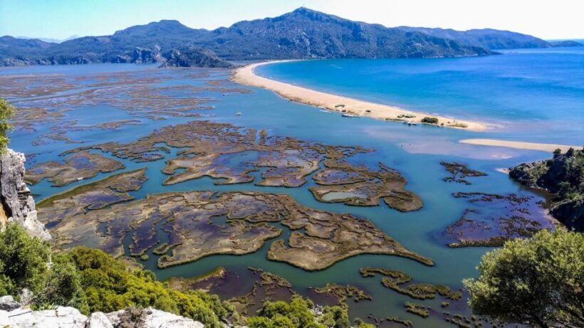 Marmaris: Dalyan Turtle Beach Tour with Mud Bath & Lunch - Turtle Beach: Spotting Loggerhead Turtles