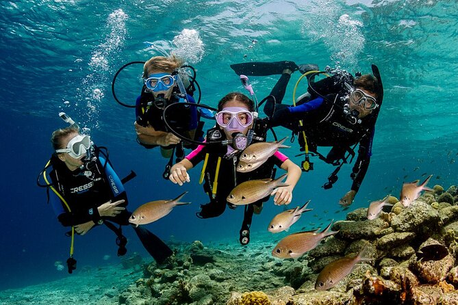 Marmaris Full Day Scuba Diving Review - About Your Stay