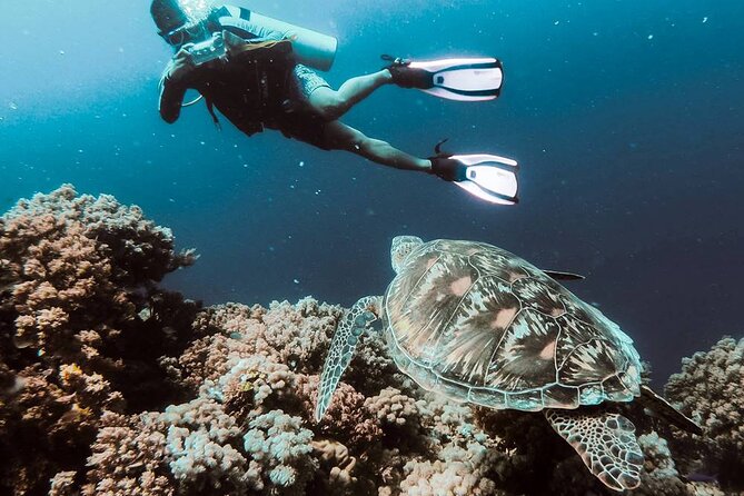 Marmaris Full Day Scuba Diving Review - Inclusions and Pricing