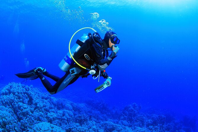 Marmaris Full Day Scuba Diving Review - Supportive and Professional Crew