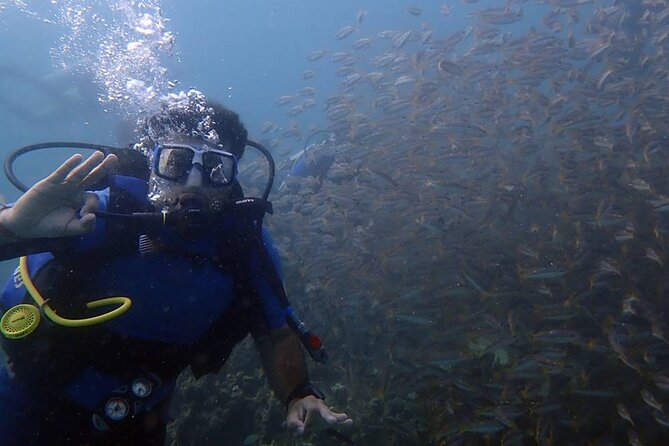 Marmaris Full Day Scuba Diving Two Dives With Lunch Hotel pickup - Frequently Asked Questions