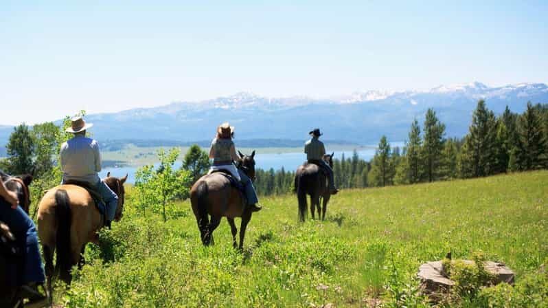 Marmaris Horse Safari - The Horses and Guides