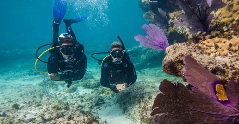 Marmaris: Scuba Diving Experience - Key Points