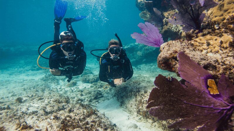 Marmaris: Scuba Diving Experience - What to Expect from a Day of Scuba in Marmaris