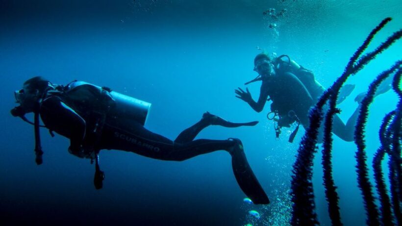 Marmaris: Scuba Diving Experience with 2 Dives and Lunch - Key Points