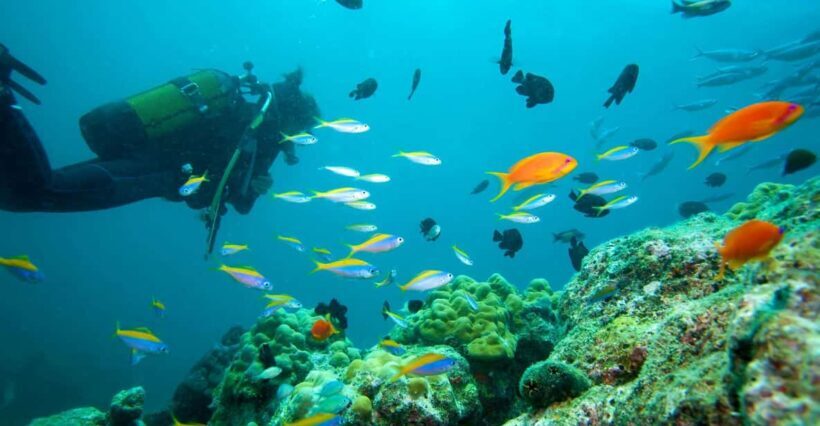 Marmaris: Scuba Diving with a Qualified Instructor - Discovering Marmaris from Underwater