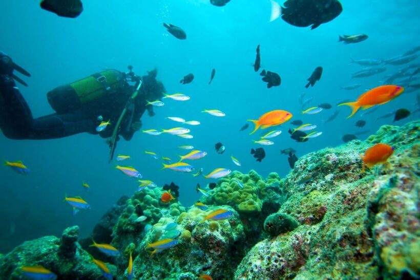 Marmaris: Scuba Diving with a Qualified Instructor - What Makes This Tour Special?