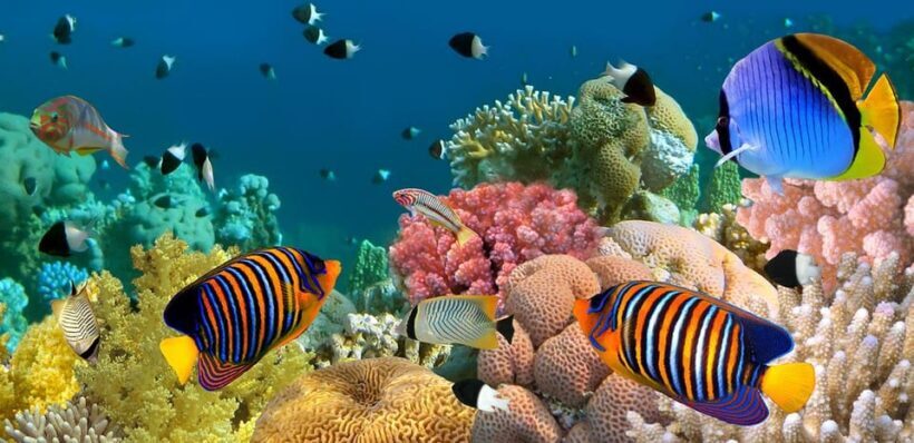 Marmaris: Scuba Diving with a Qualified Instructor - Who Should Consider This Tour?