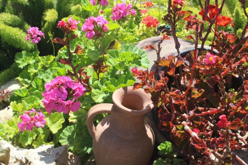 Marne: Champagne Region Private Day Tour with Lunch - Key Points