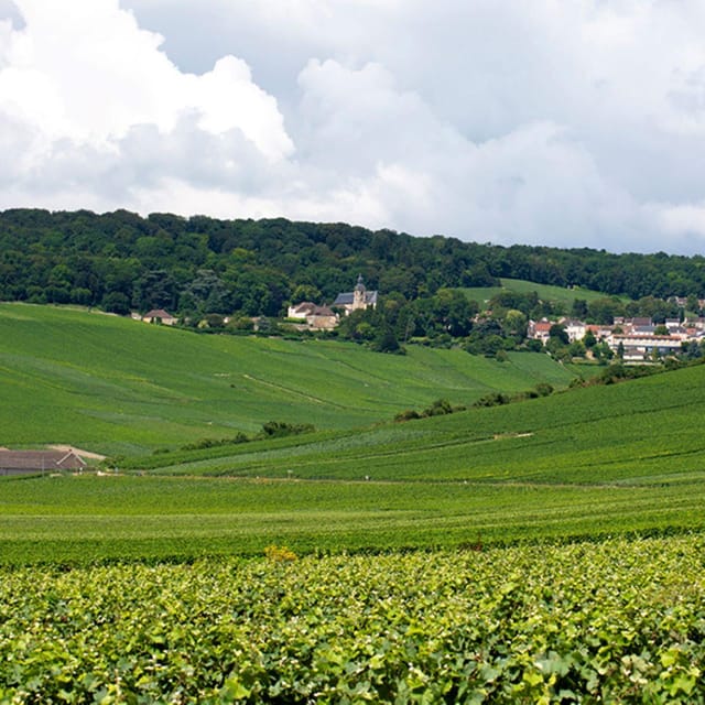 Marne: Champagne Region Private Day Tour with Lunch - Why This Tour Offers Great Value