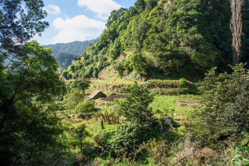 Maroços Madeira Island Levada Walk - Why the Price Offers Good Value