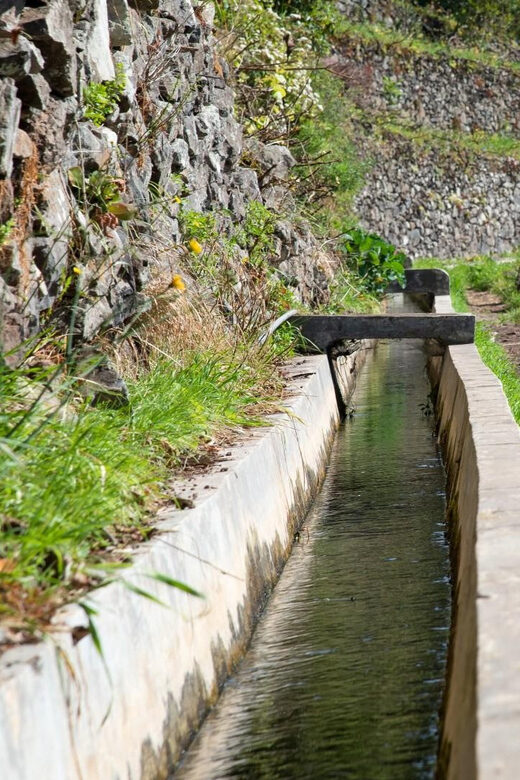 Maroços Madeira Island Levada Walk - Real Feedback from Participants