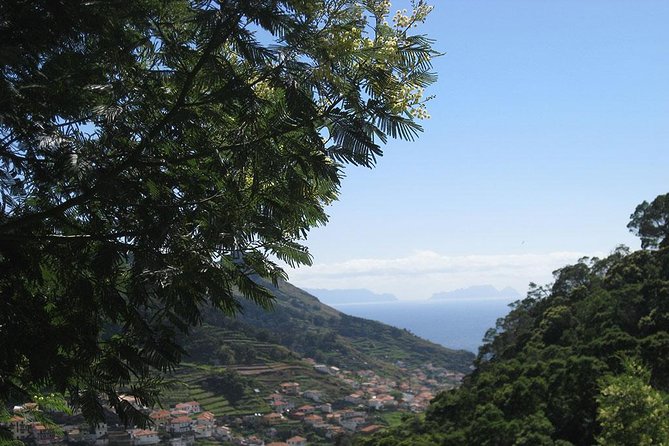 Maroços Mimosa Valley Levada Walk from Funchal - The Guided Experience and Group Size