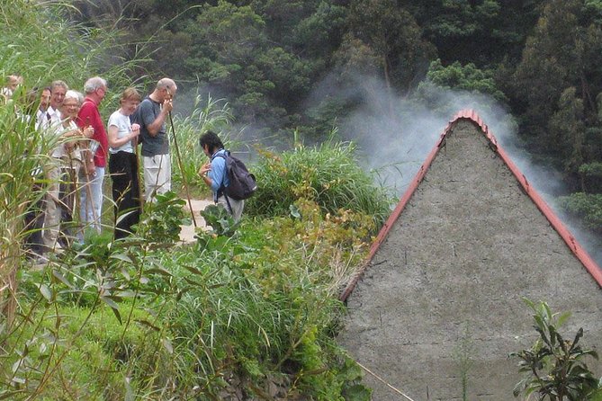 Maroços Mimosa Valley Levada Walk from Funchal - Who Will Love This Tour?