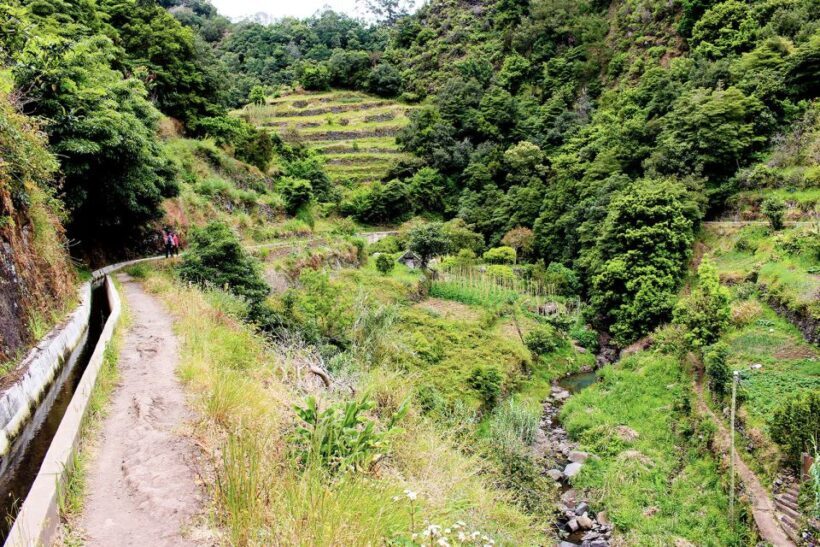 Maroços / Mimosa Valley - Levada Walk - Exploring the Levada Walk in Detail