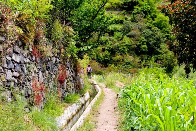 Maroços / Mimosa Valley - Levada Walk - Practical Tips for Participants
