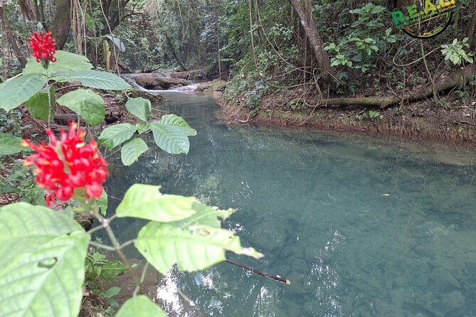 Maroon and Waterfall Adventure from Treasure Beach Jamaica - Practical Details and Tips