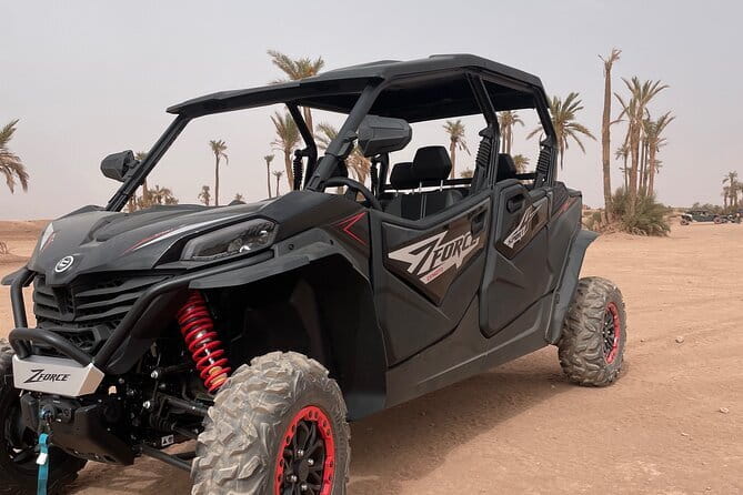 Marrakech: Buggy ride in the palm grove with tea break - Key Points