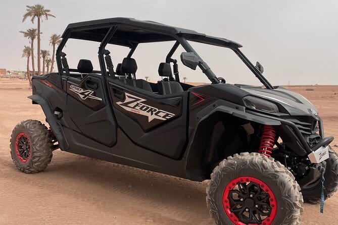 Marrakech: Buggy ride in the palm grove with tea break - The Sum Up: Is It Worth It?