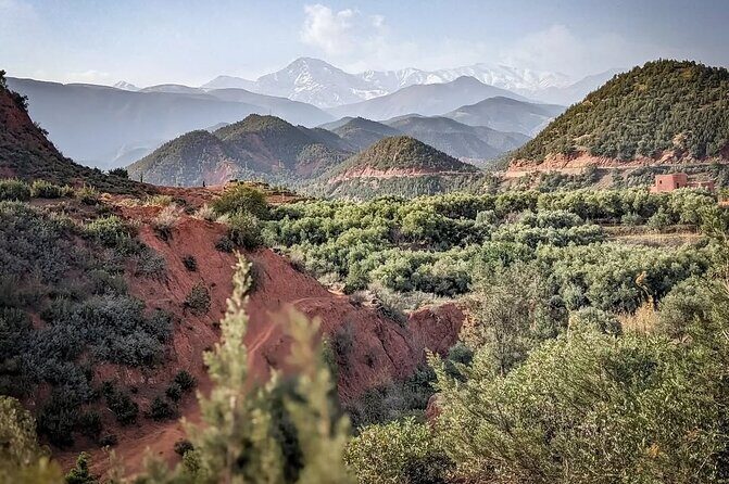 Marrakech: Ourika Valley, Atlas Mountains, Waterfall Hike & Lunch - Authentic Experience and Guide Quality