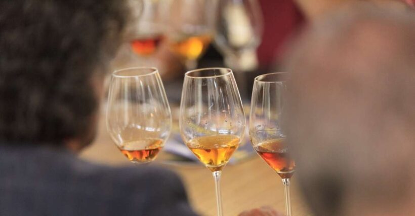 Marsala: Florio Winery Tour with Local Wine Tasting - The Setting and Atmosphere