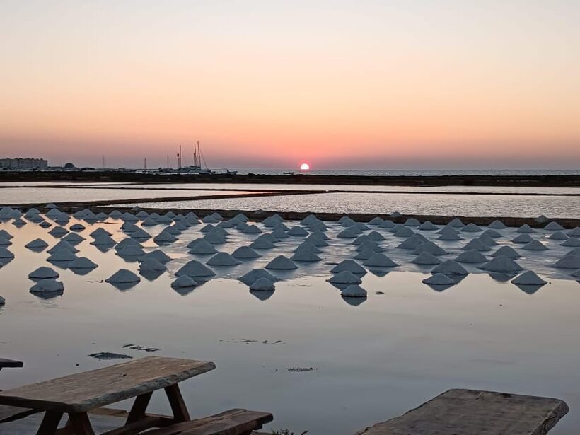 Marsala: Guided tour of the Genna Salt Pans - A Closer Look at the Salt Pans Tour