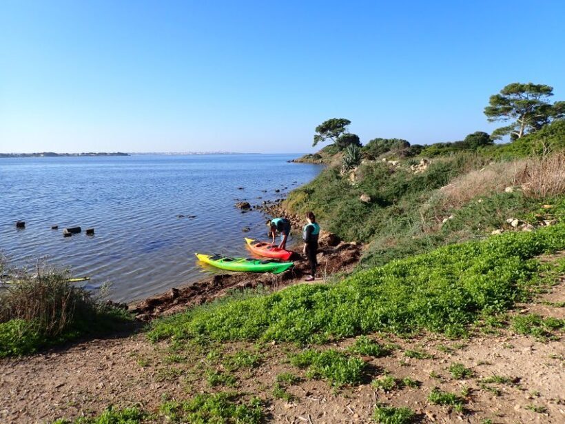 Marsala: Kayak Tour in Stagnone di Marsala Nature Reserve - The Sum Up