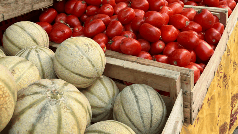 Marseille and Aix-en-Provence: culture, history and art of living - FAQ